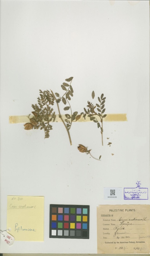 National Seed Bank - National Center for Agricultural Research